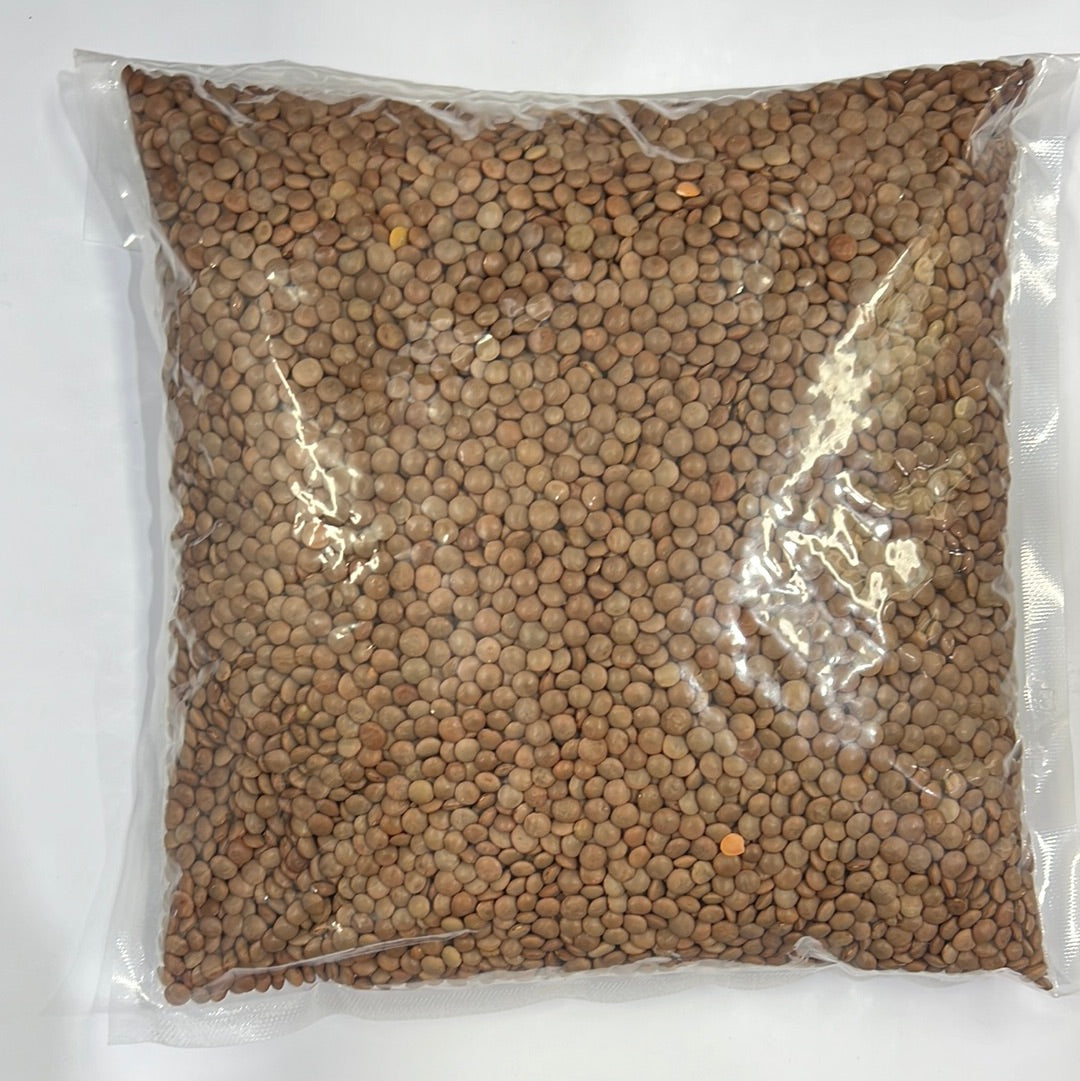 LENTIL SEEDS – Douty African Online